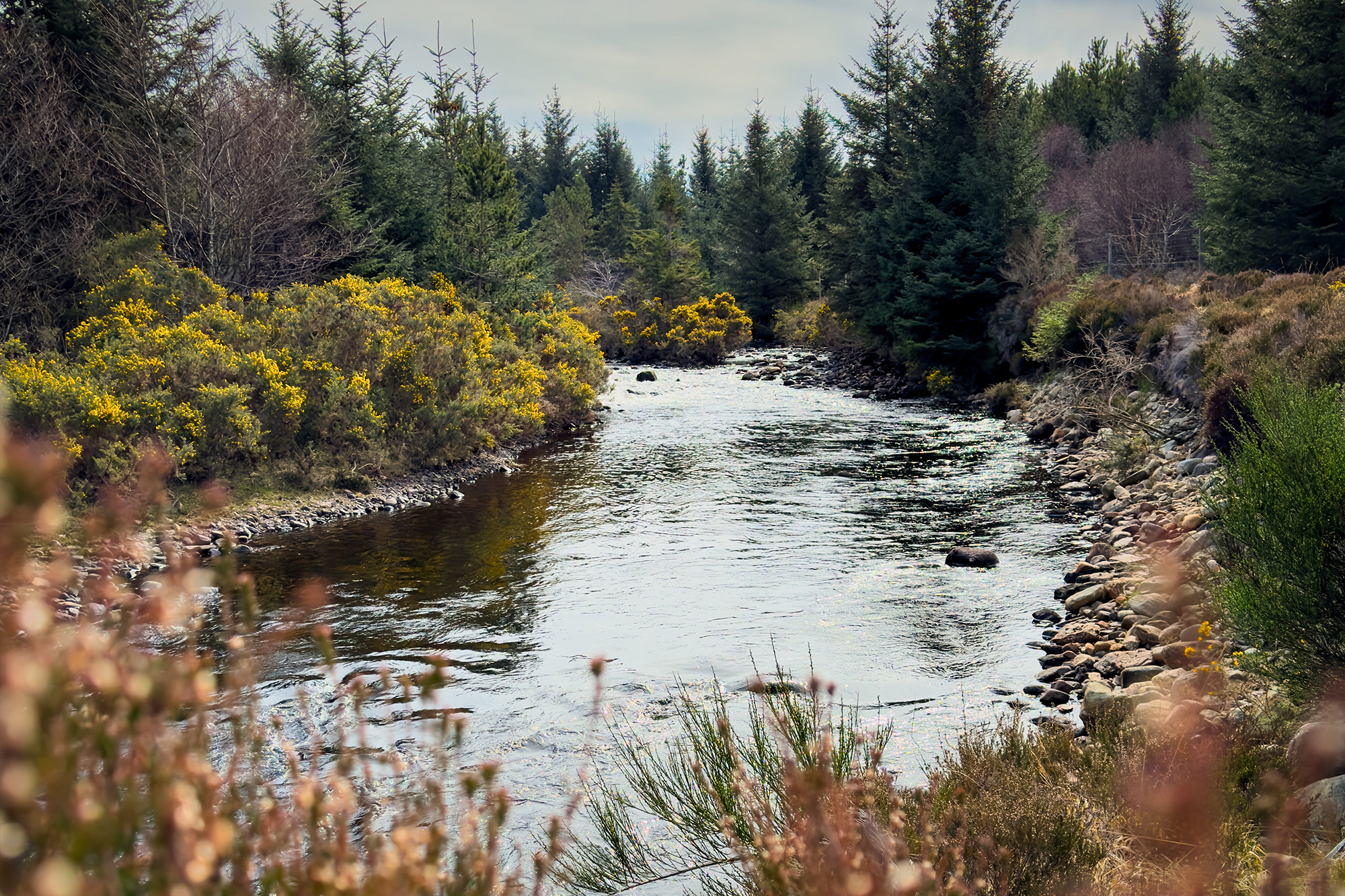 Going Low | Stories | Loop Tackle